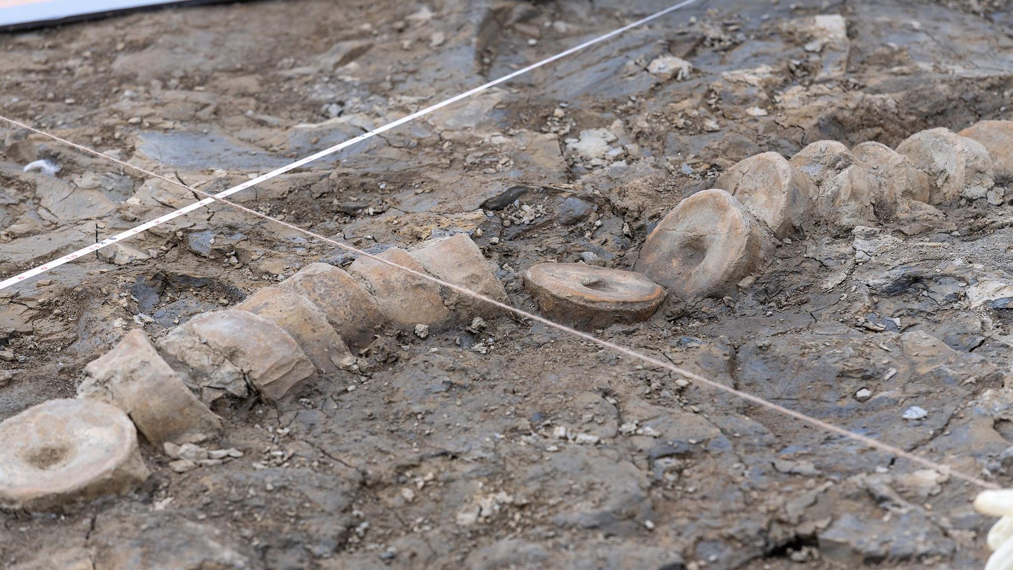 Rutland ichthyosaur: 10m-long 'sea dragon' skeleton is one of UK's ...