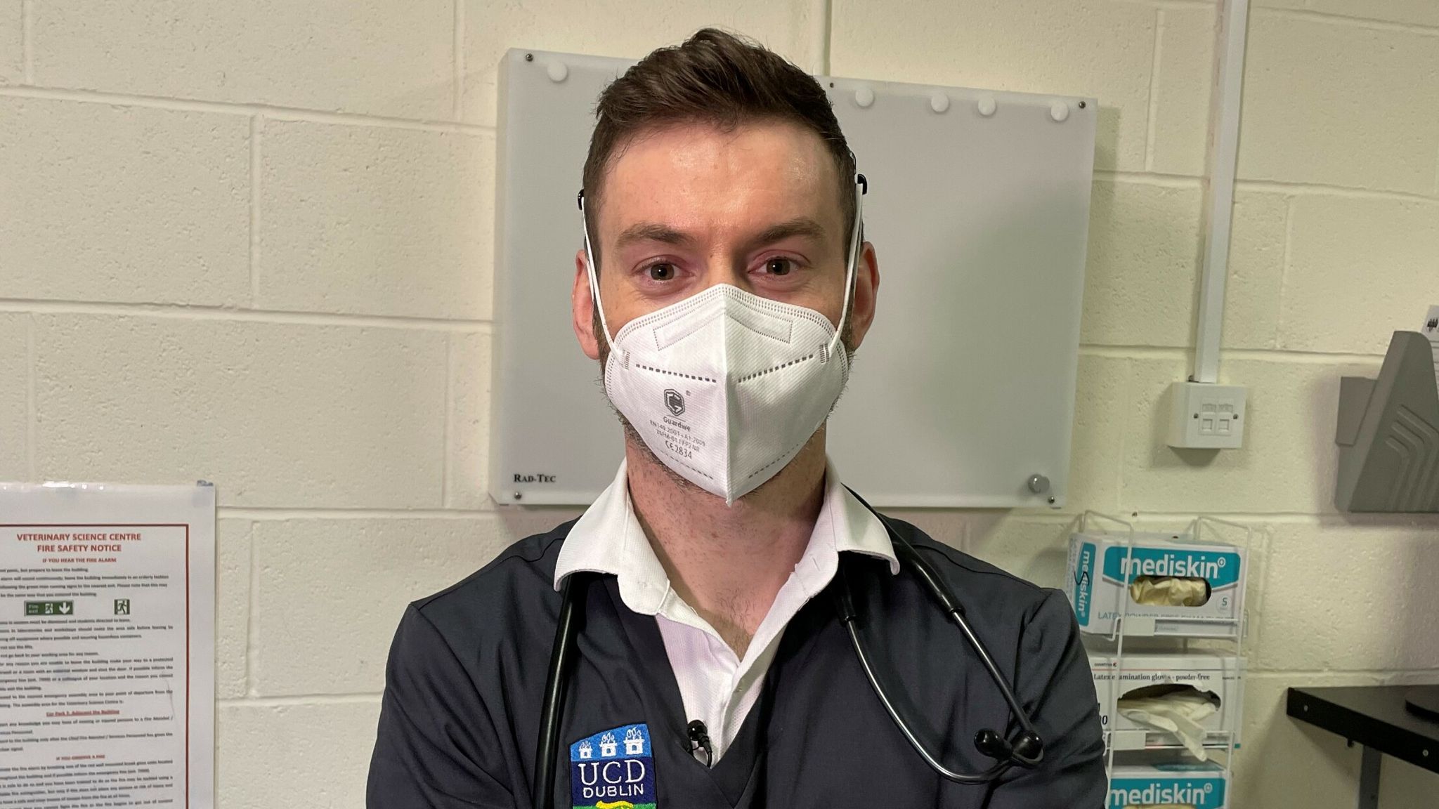 National canine blood bank should also be set up in Ireland, top animal ...