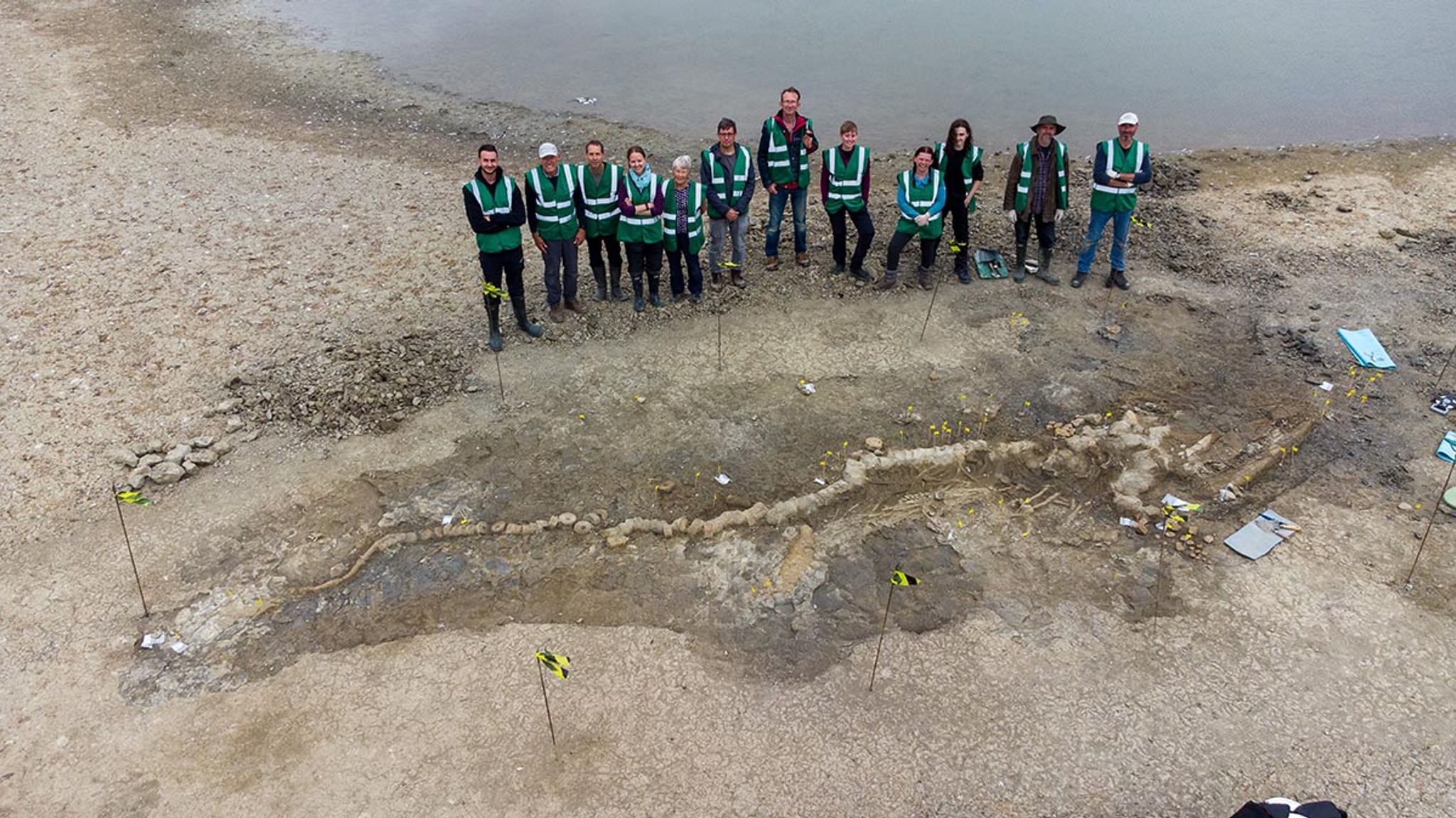 Rutland ichthyosaur: 10m-long 'sea dragon' skeleton is one of UK's ...