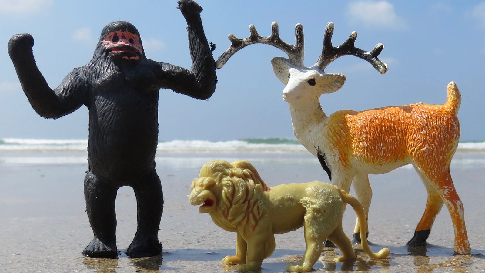 Lego Lost At Sea: How a search for five million figurines lost off the ...