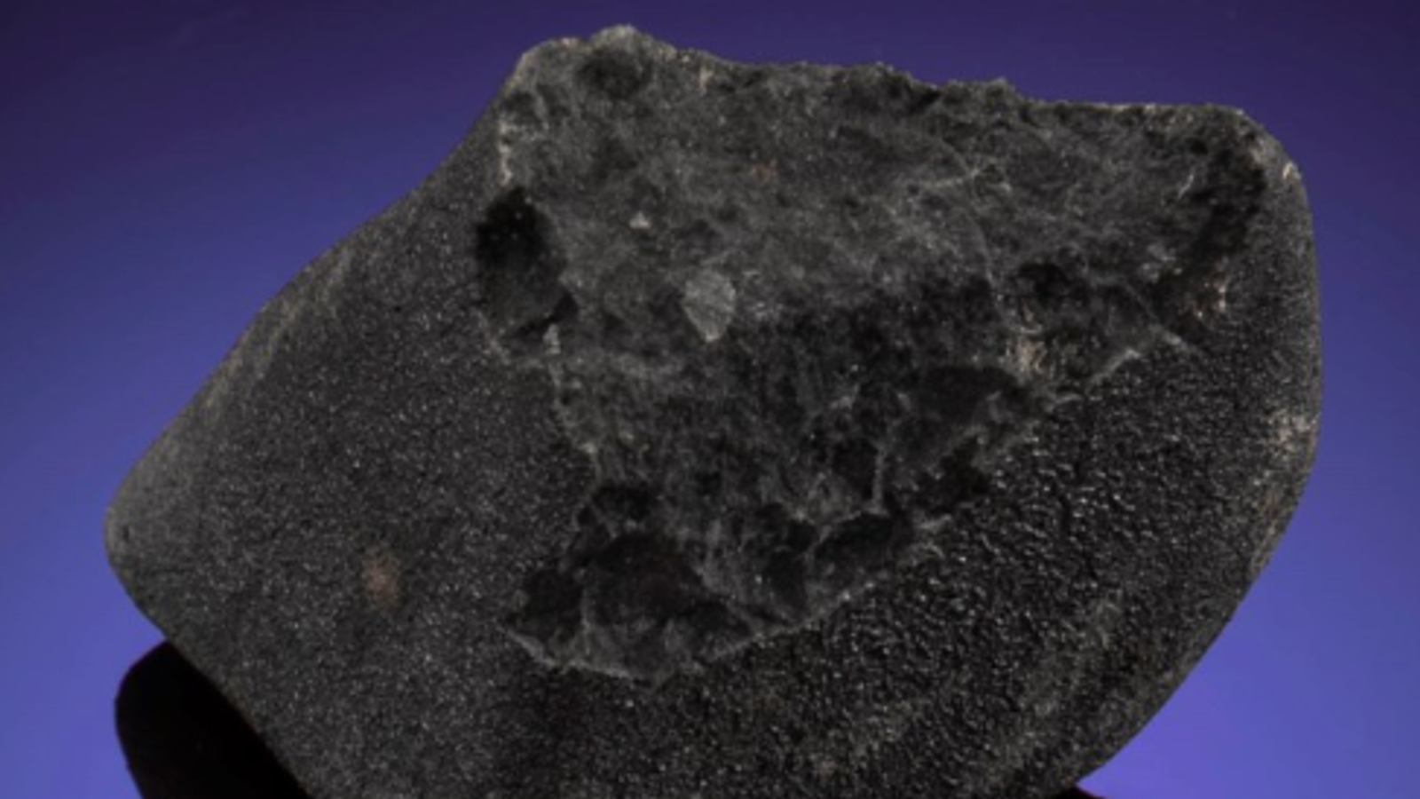 A chunk of Mars and the only meteorite to have killed an animal among ...