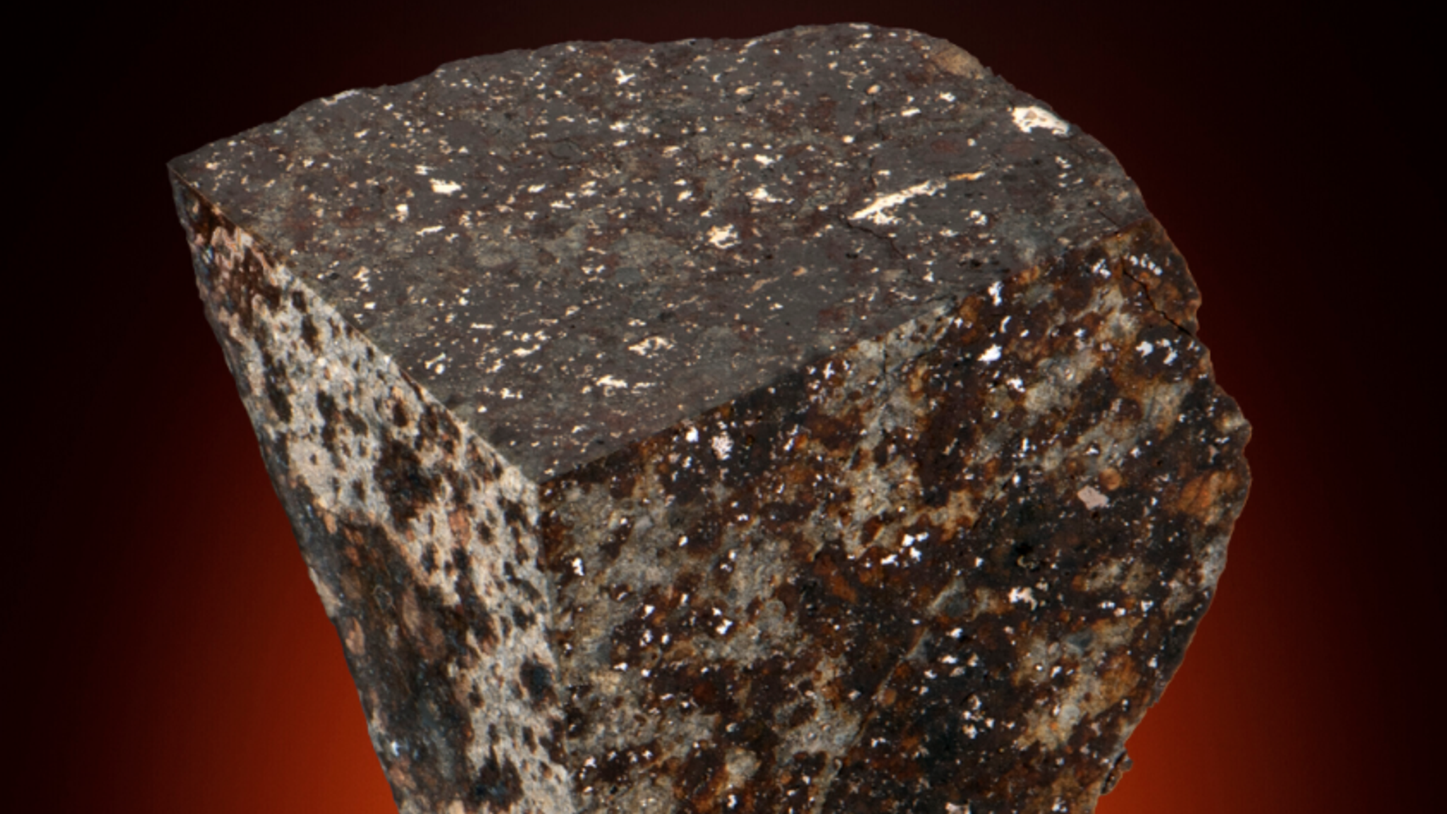 A chunk of Mars and the only meteorite to have killed an animal among ...