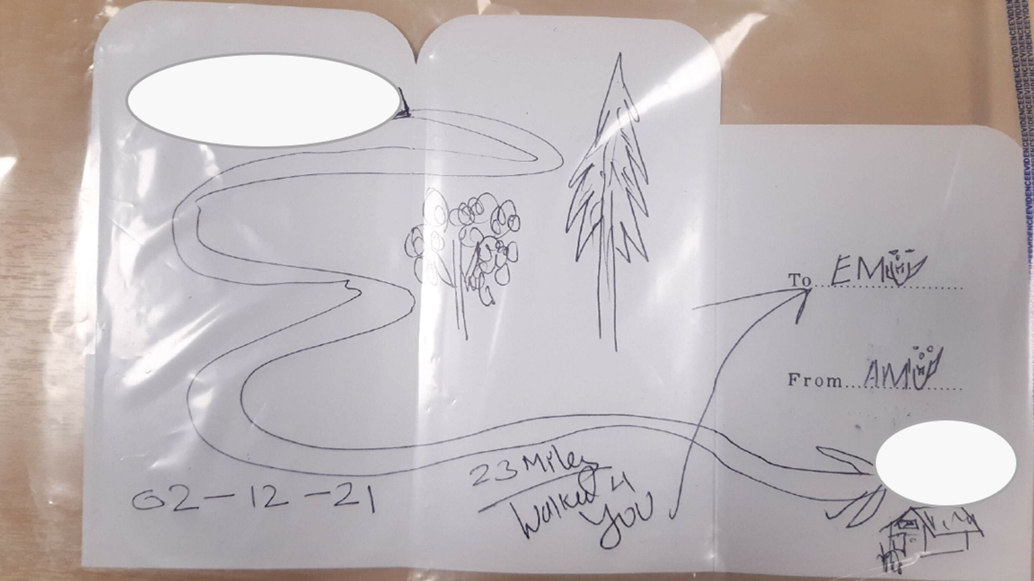 Emma Raducanu: Man who stalked tennis star and stole her dad's shoe ...