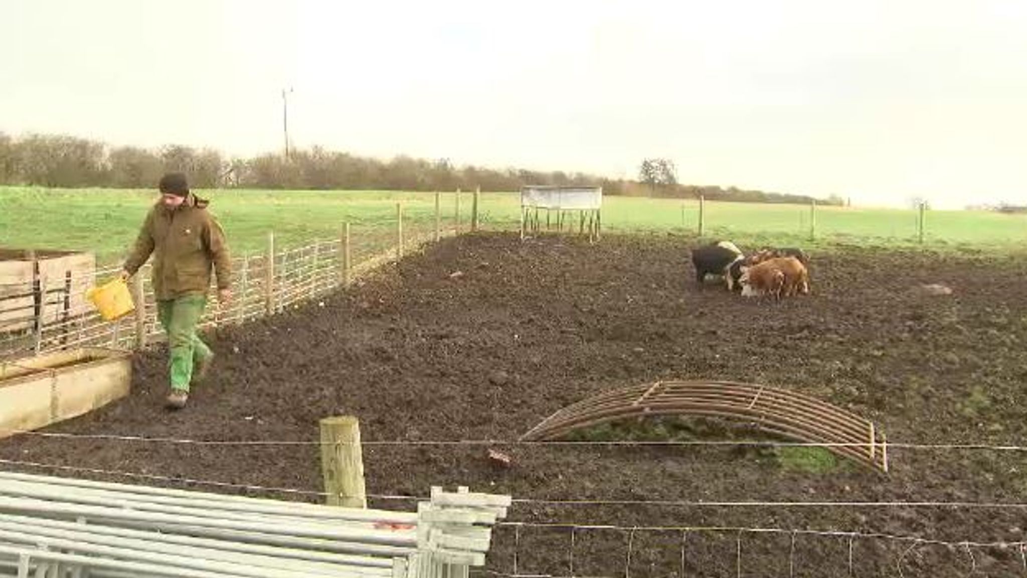 'Mind your head': Farmers encouraged to talk about mental health | UK ...