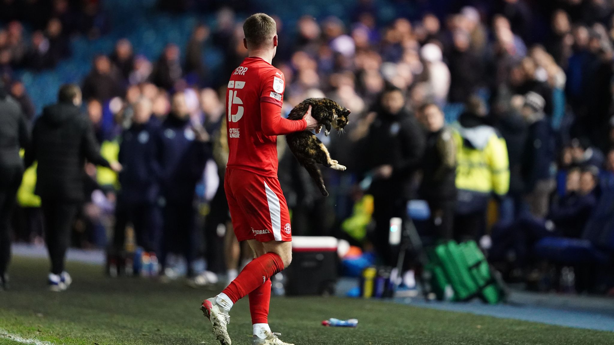 Cat kicking video: Footballer Kurt Zouma booed during Premier League ...