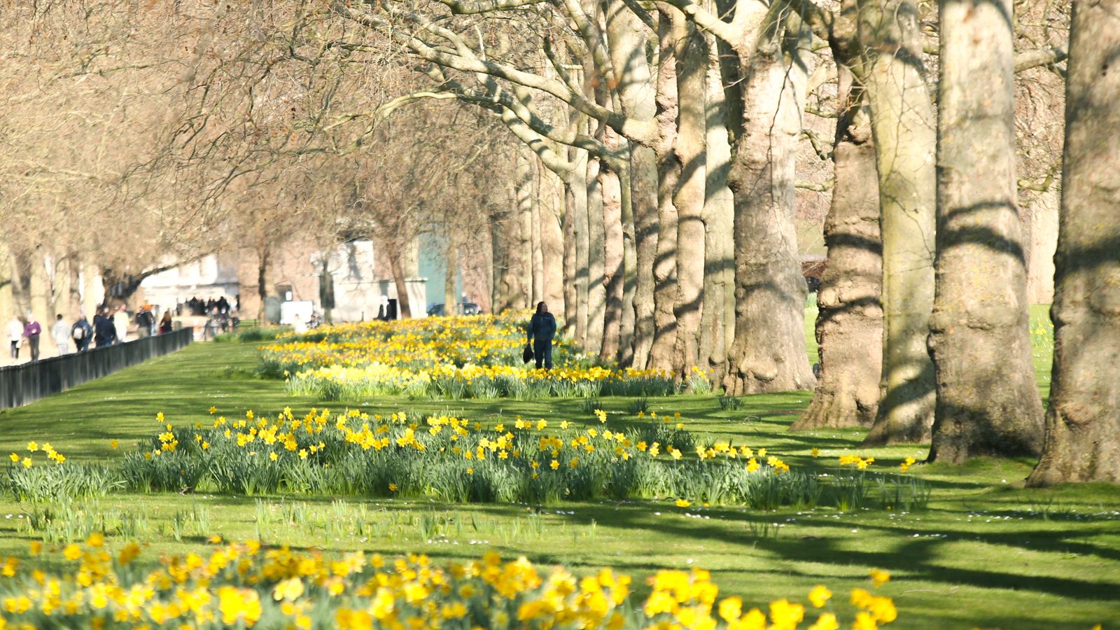 UK weather: Britain to enjoy 20C highs in 'one of the sunniest ...