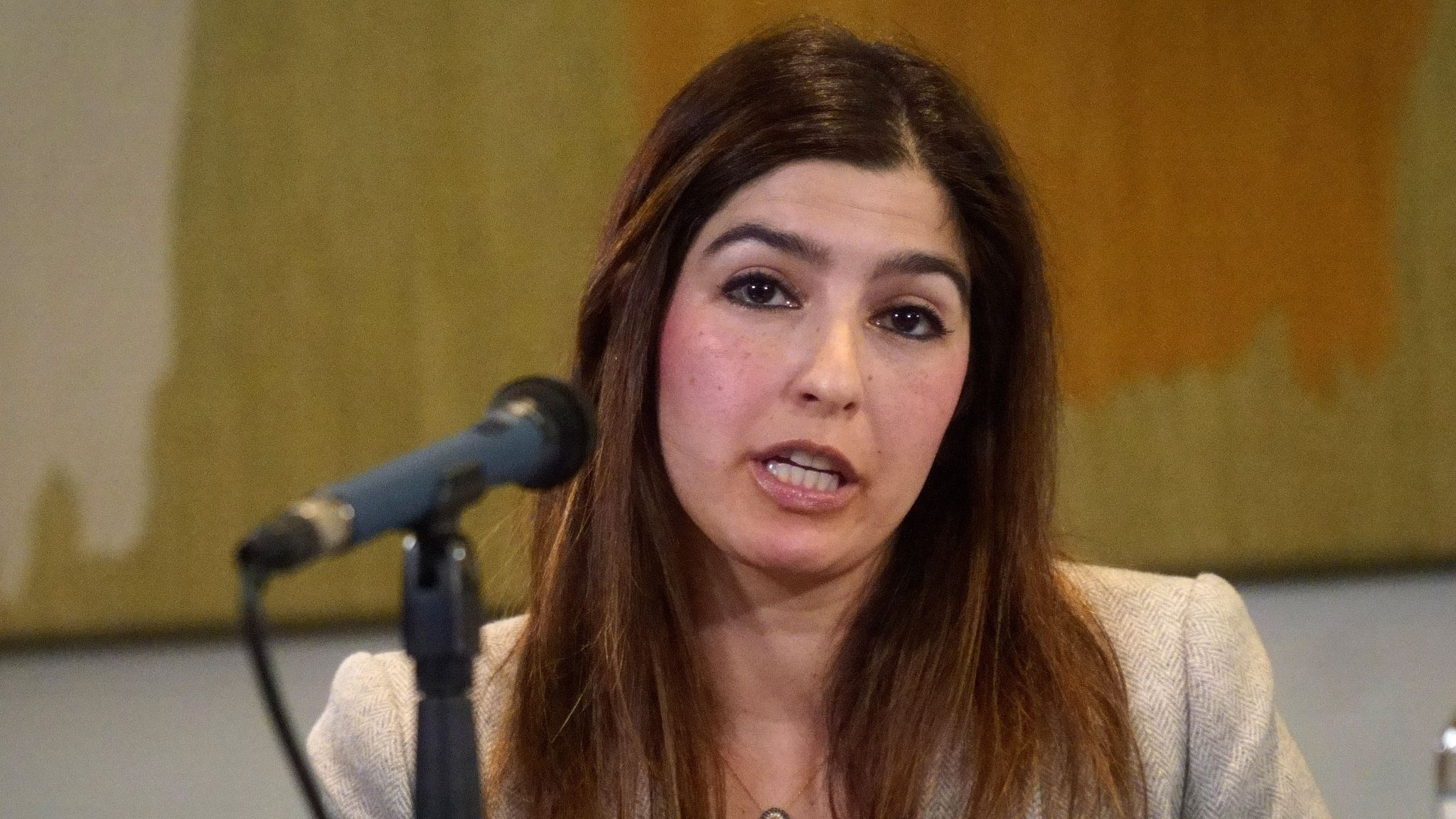 Morad Tahbaz: British-US national detained in Iran goes on hunger strike as family reveal they ...