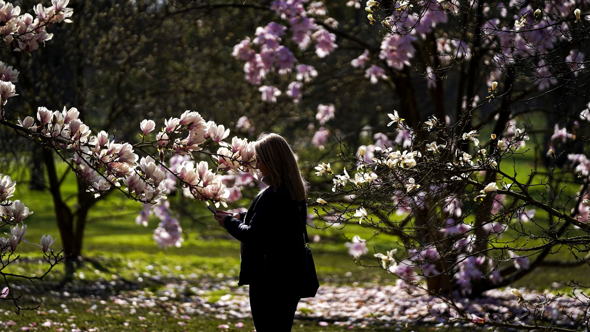 UK weather: Seven days of spring sunshine forecast as temperatures ...