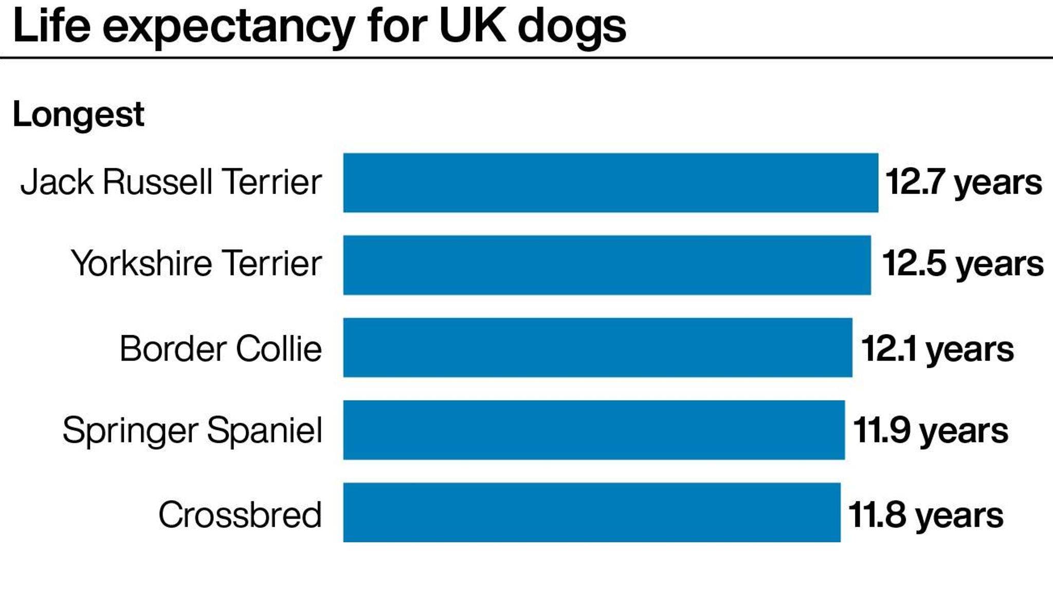 Jack Russell terriers live longer than other breeds in UK, while French ...