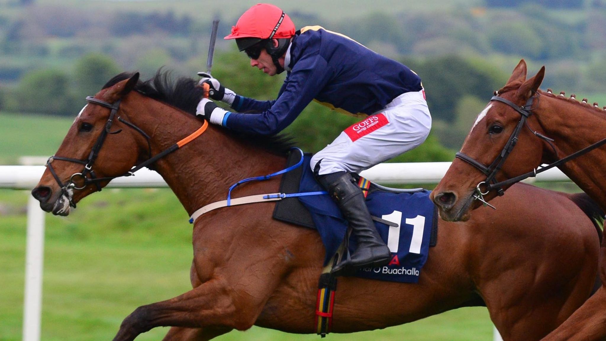 Grand National: Fancy a flutter? Ten to watch at Aintree | UK News ...