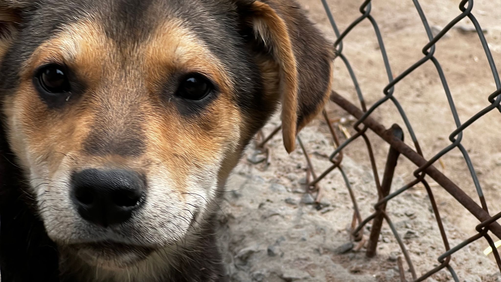 Ukraine war: Defying the Russian missile bombardment to care for 600 ...