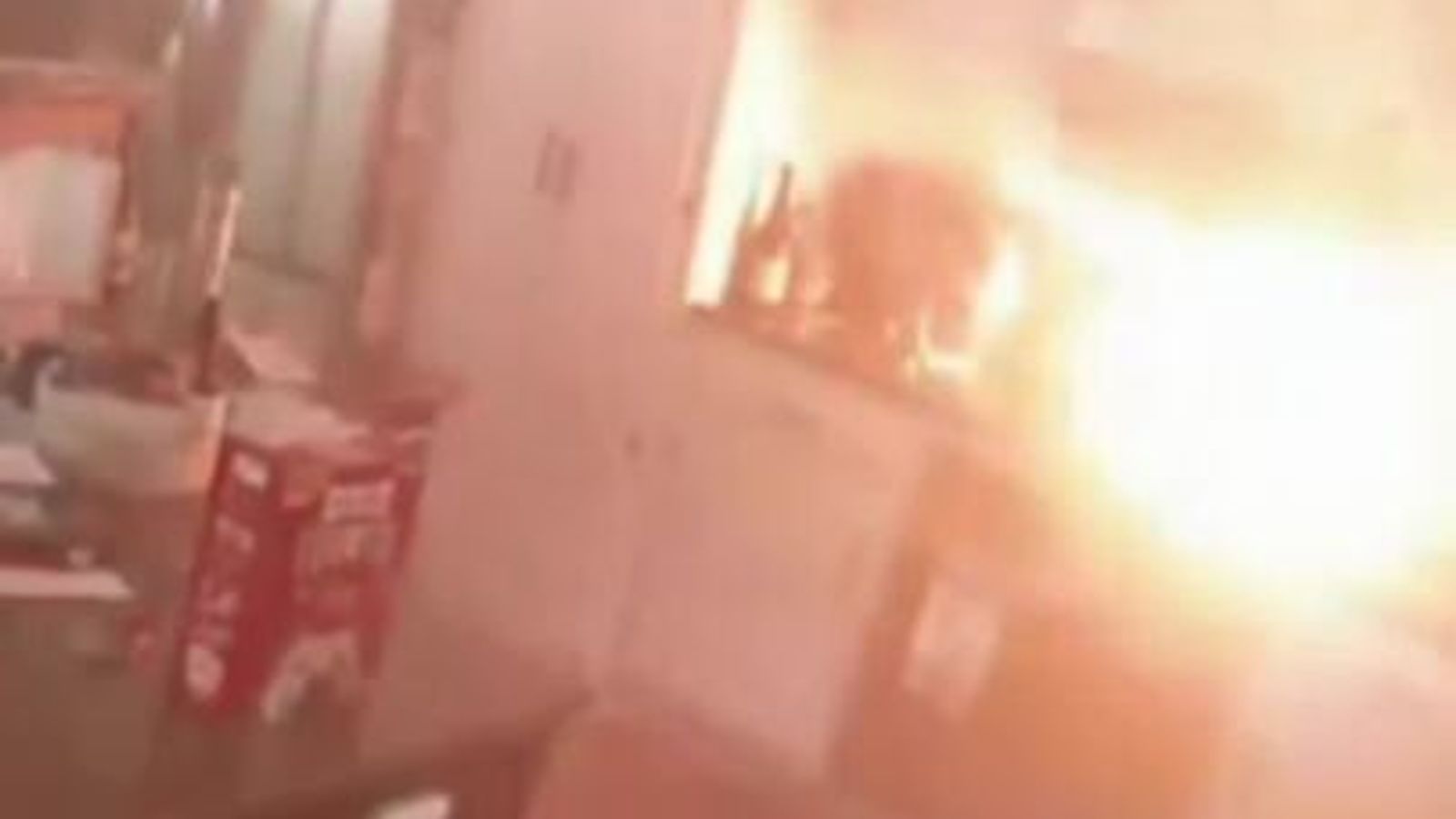 US: Dog starts fire after turning on hob with paws | Offbeat News | Sky ...