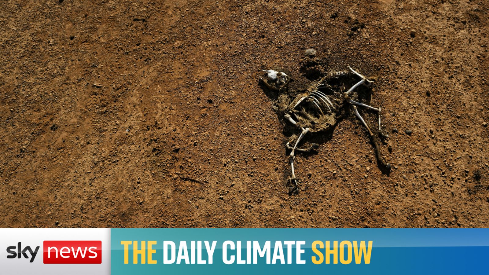 Daily Climate Show: Famine warning amid food crisis | Sky News