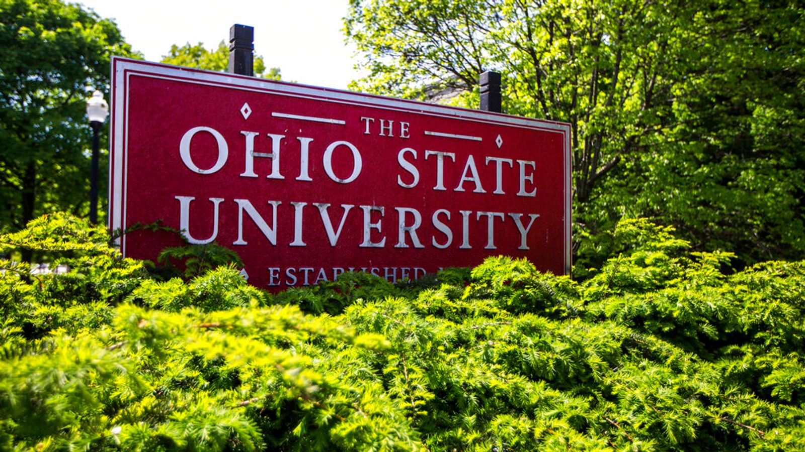 Ohio State University wins the right to trademark the word 'the' | US ...