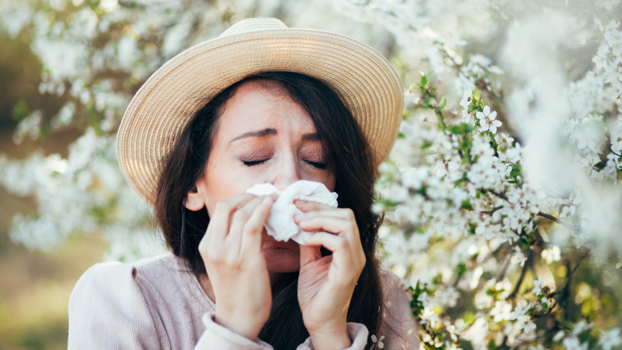 Hay fever set to be more severe this year - here's why | Science ...