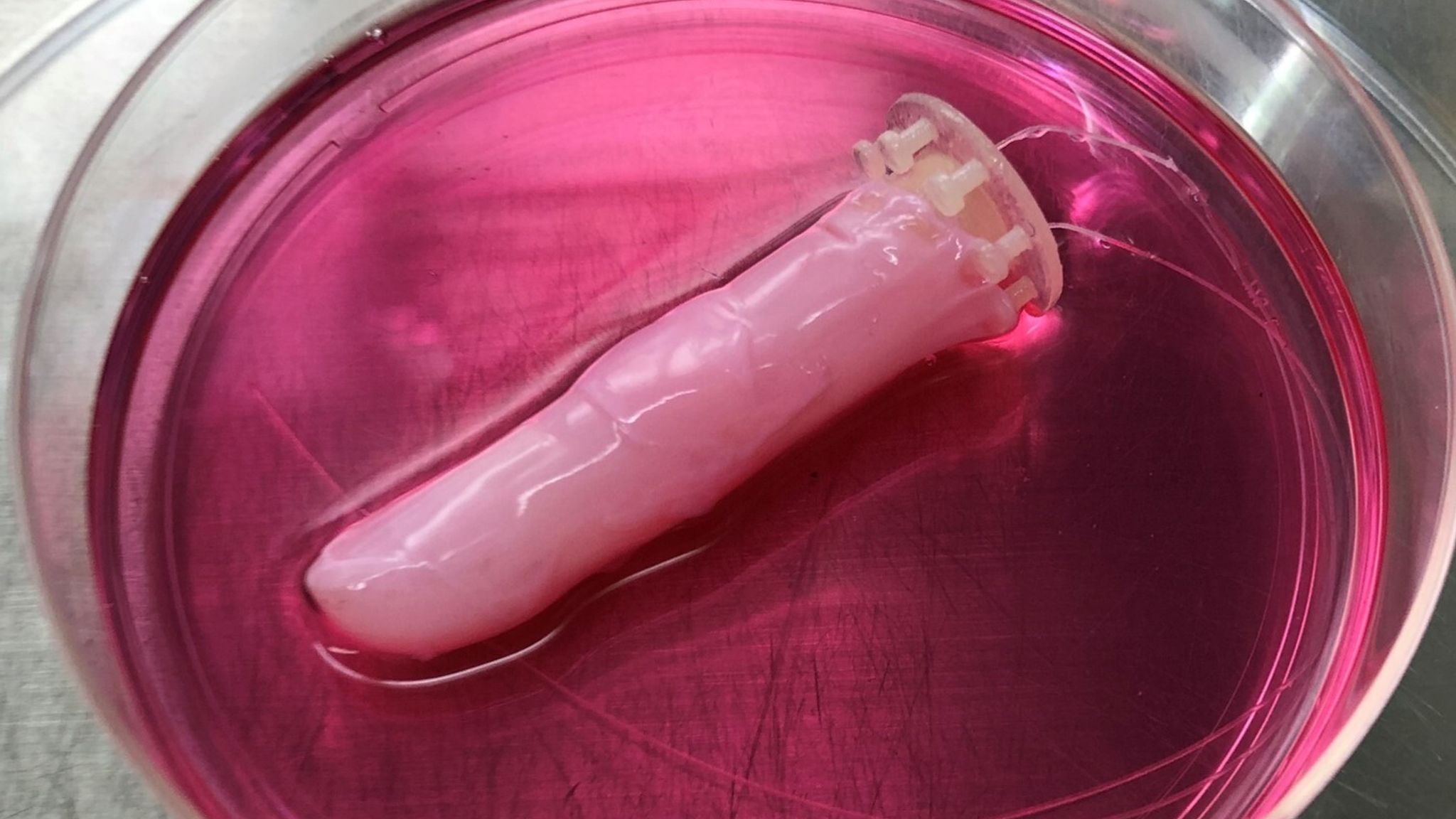 Scientists create living human skin for robots | News UK Video News ...