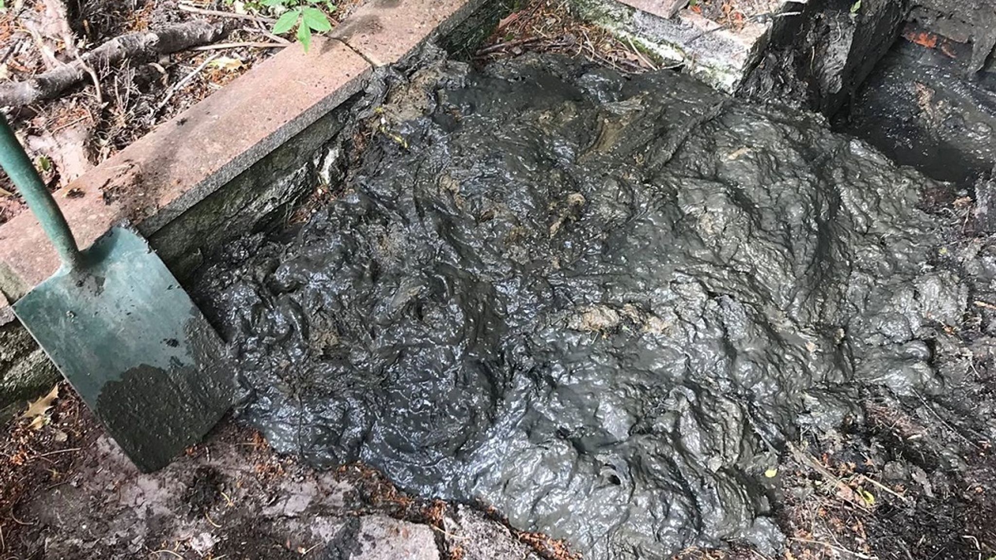 No wet wipes should be flushed down the loo after all, water industry ...