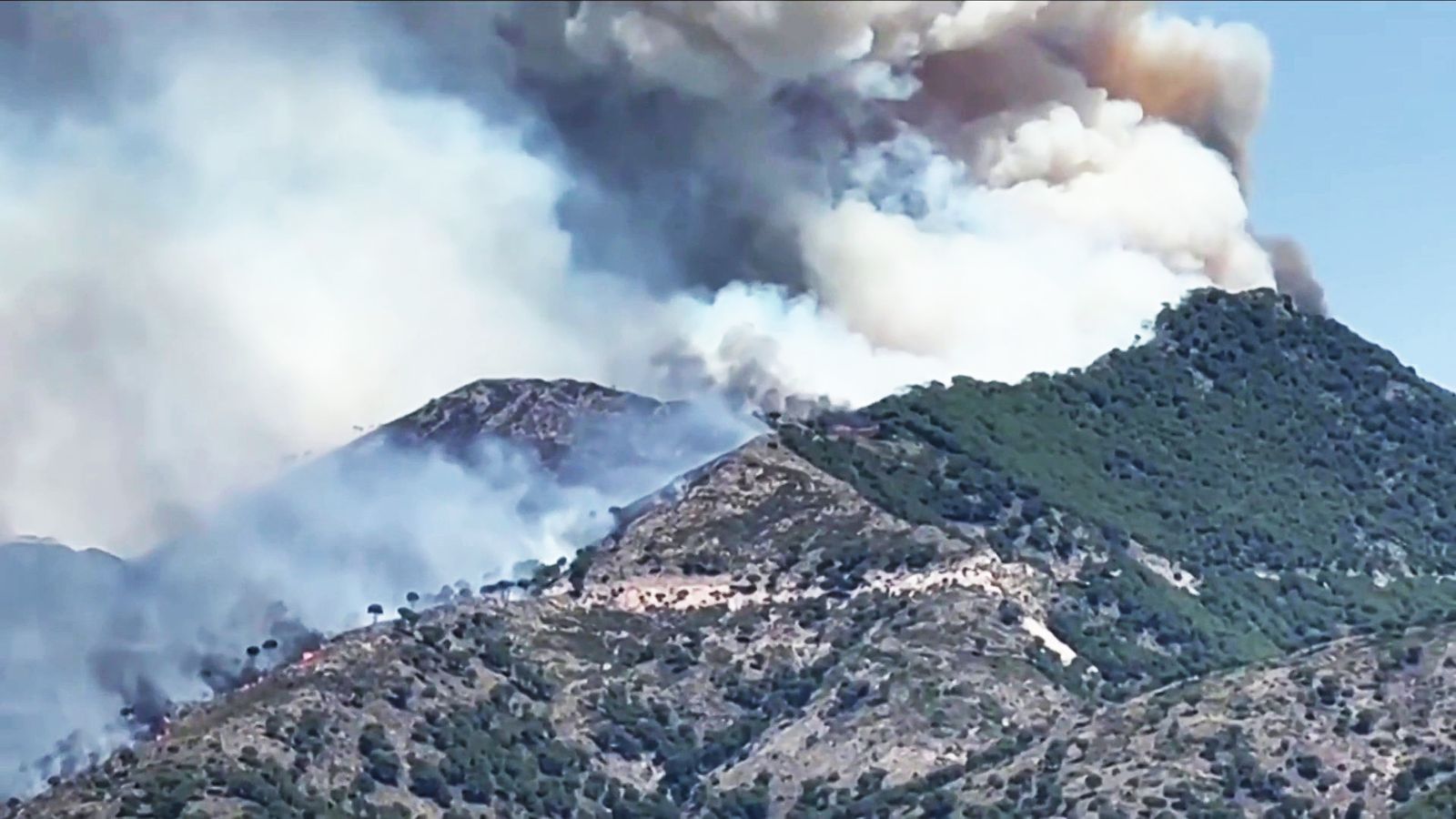 Homes evacuated as fires grip Europe | World News | Sky News