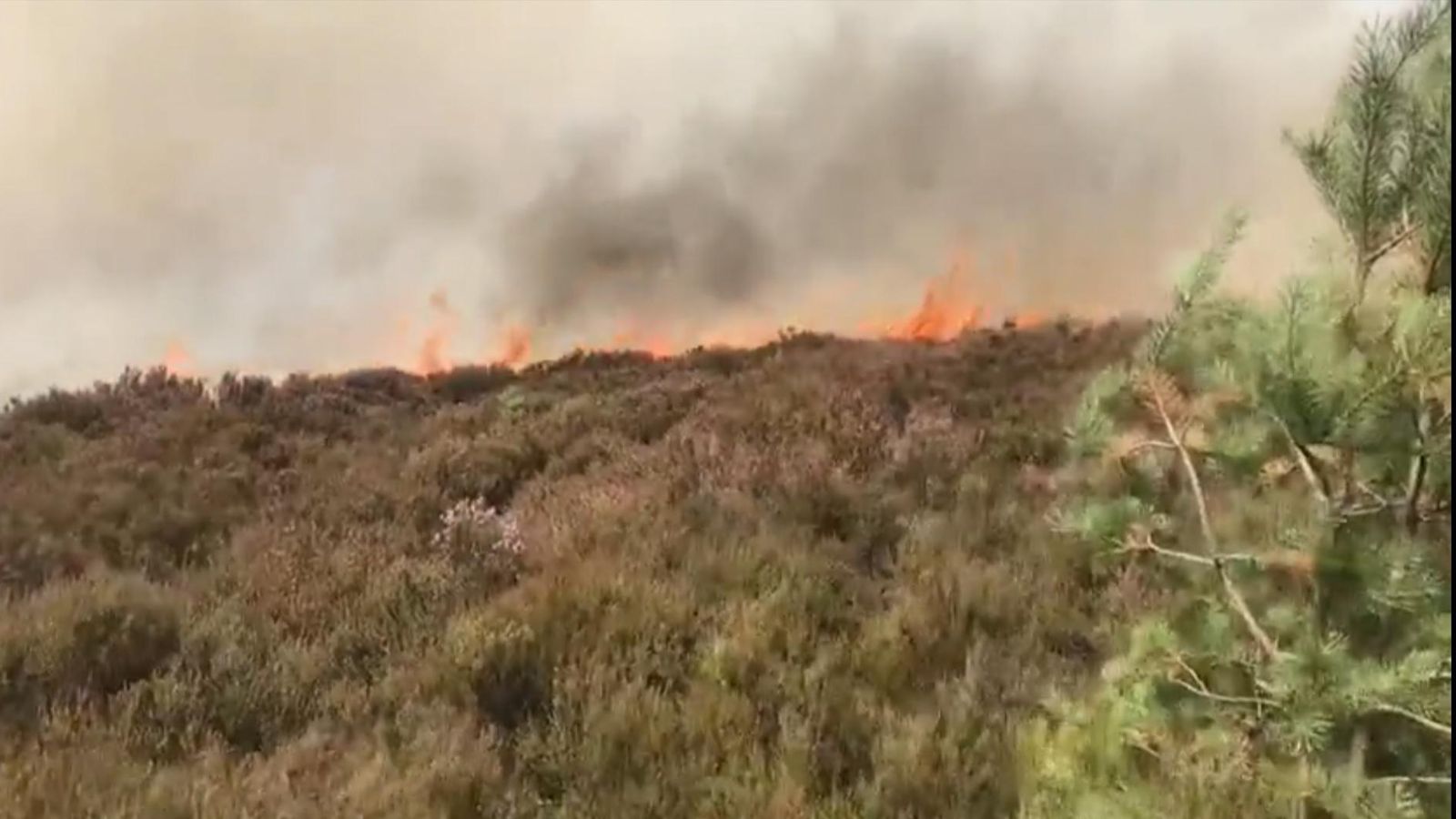 Surrey fire: 'Major incident' as Hankley Common burns | UK News | Sky News