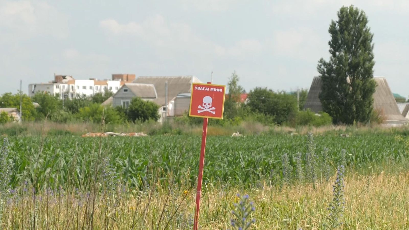 Ukrainian civilians learning the hard way that mines will take years to ...