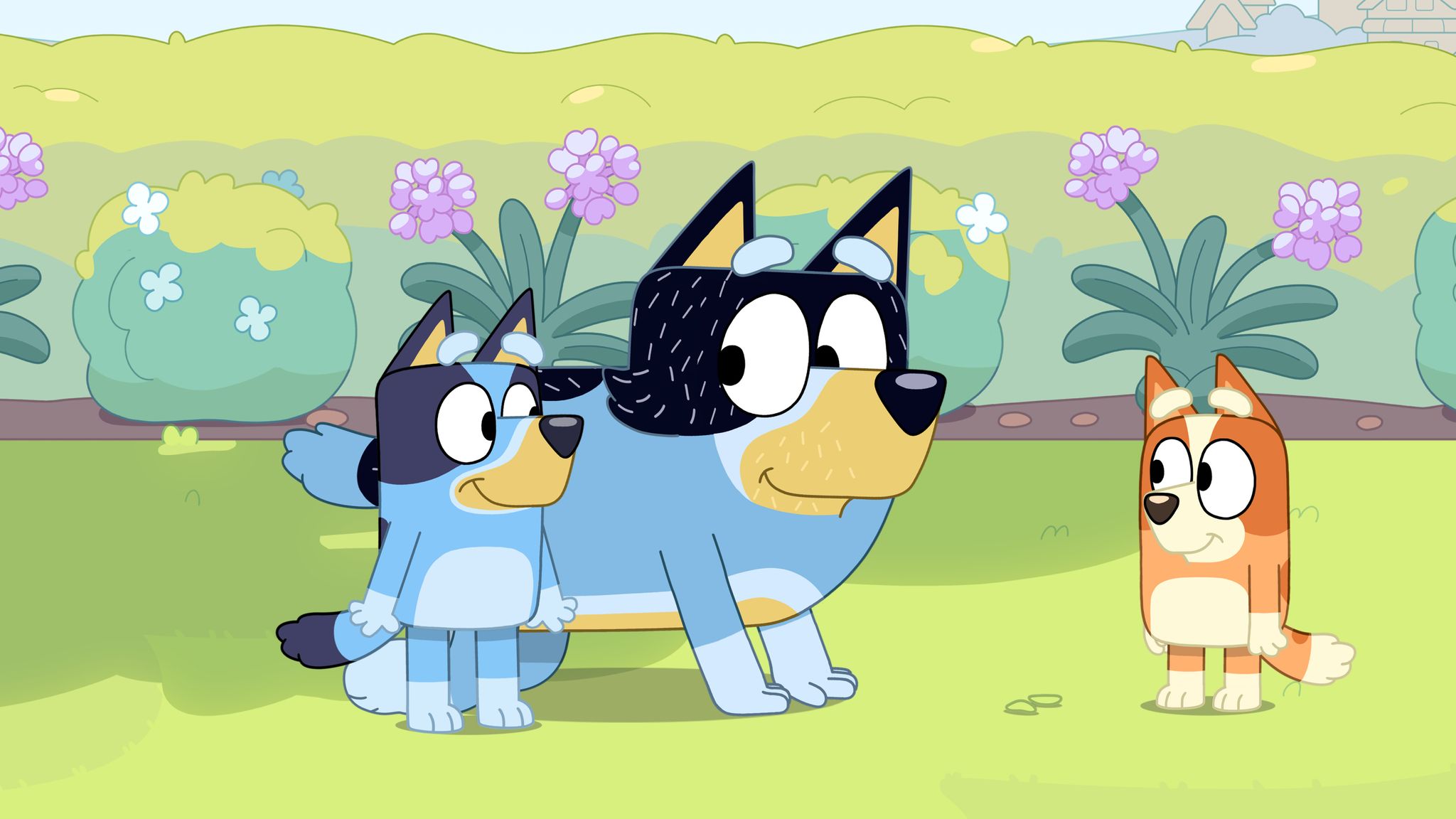The Bluey Phenomenon Bandit Heeler Voice Actor Reveals All About The Bluey Phenomenon Bandit Heeler Voice Actor Reveals All About