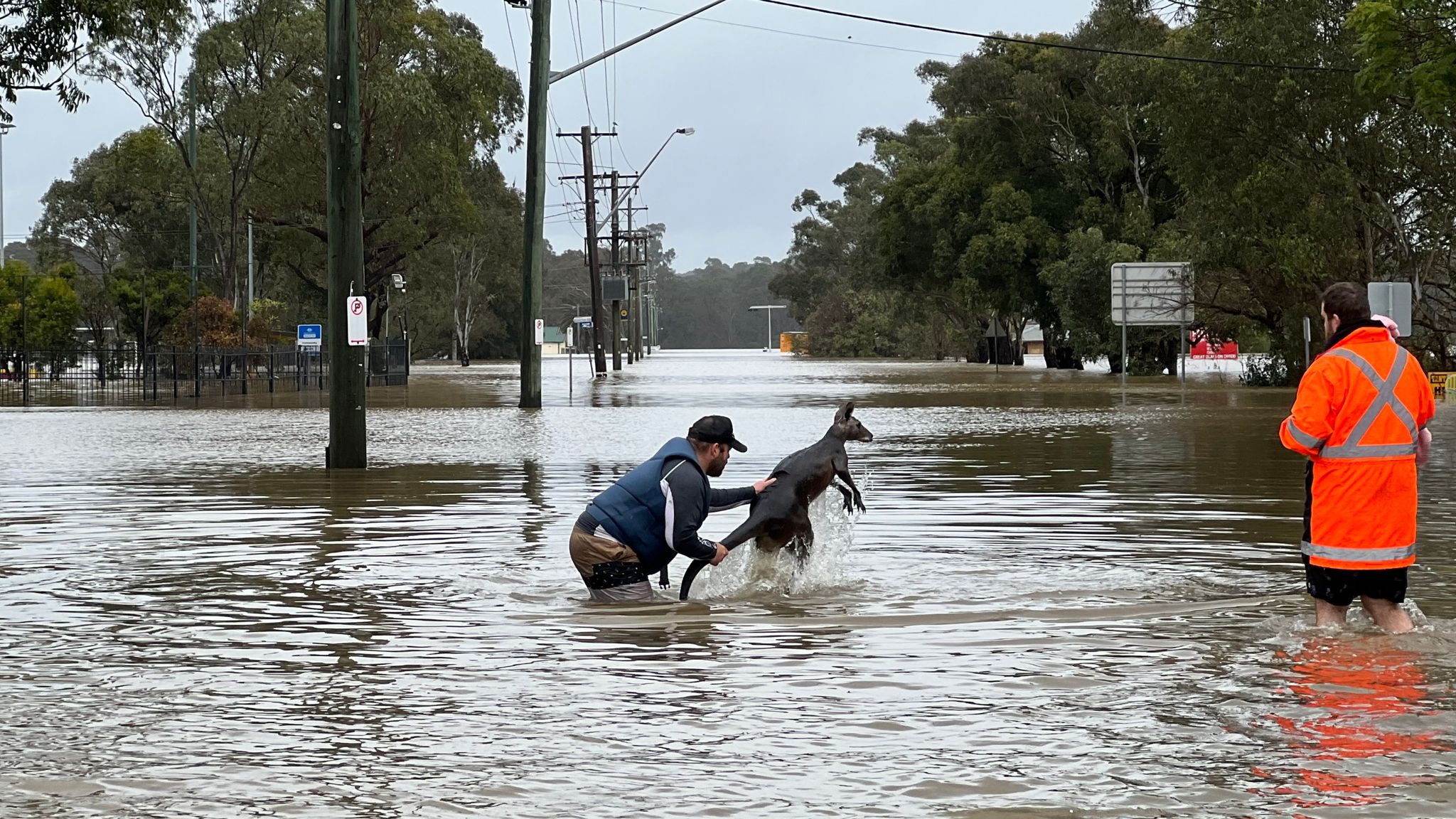 Sydney floods: Families need boats to leave home as deluge of floods ...