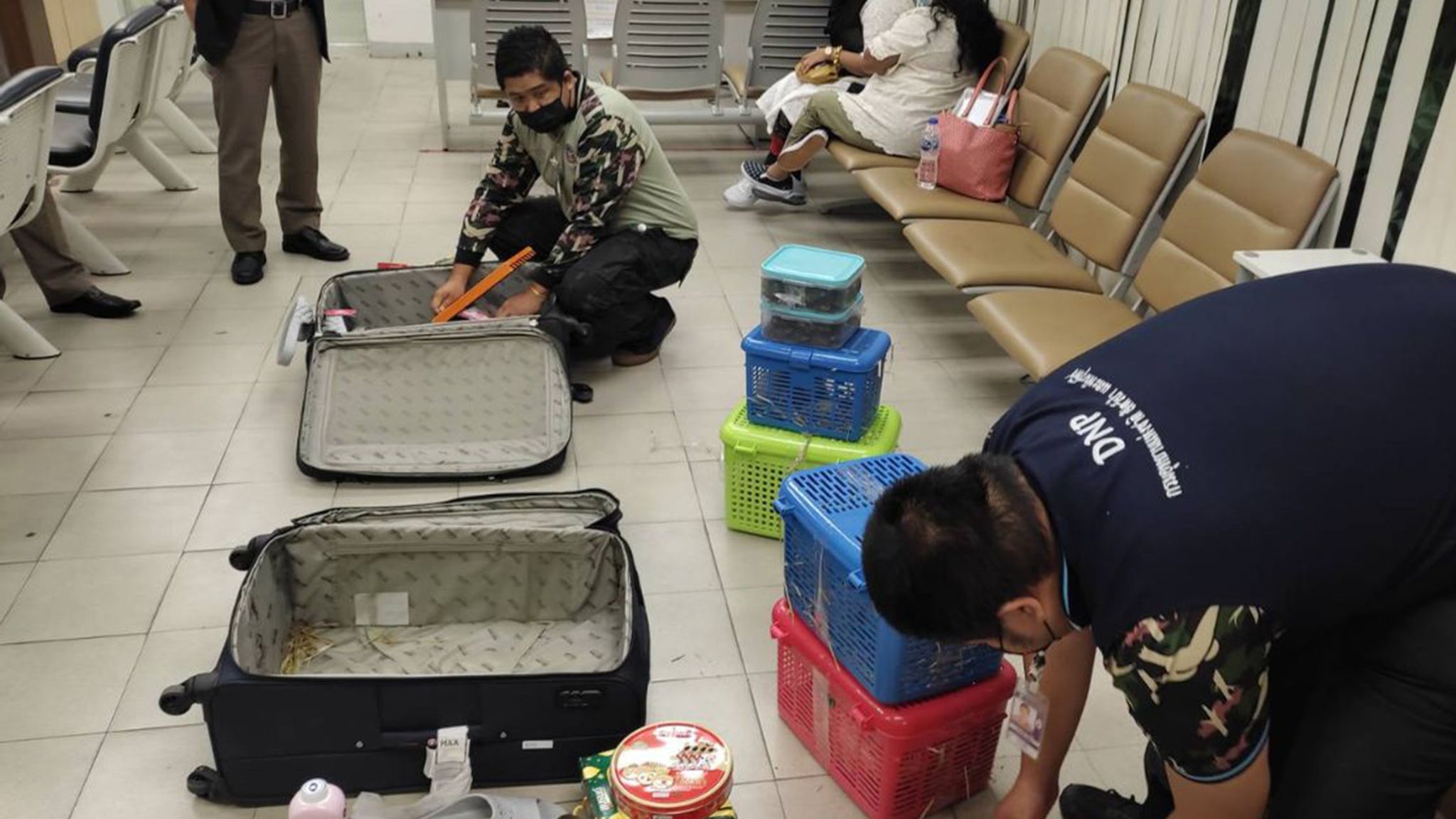 109 live animals - including 35 turtles and 20 snakes - found in women ...