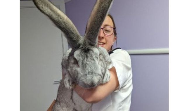 News | Latest breaking news and top headlines | Heart Yorkshire