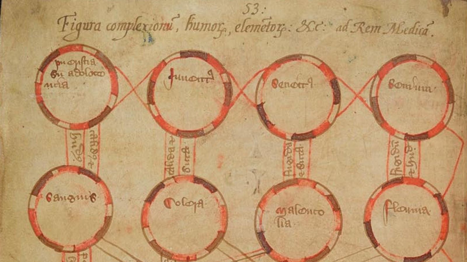 Old manuscripts which reveal bizarre medieval medical cures being ...