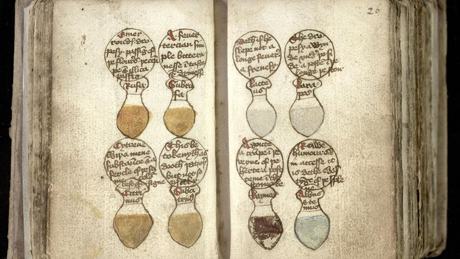 Old manuscripts which reveal bizarre medieval medical cures being ...