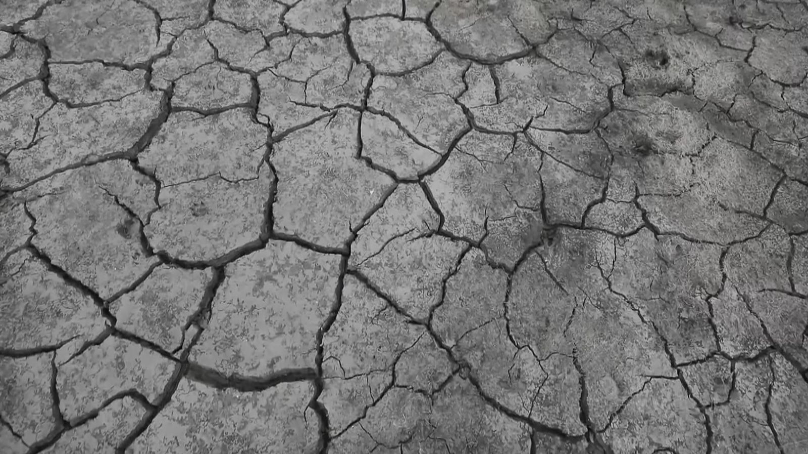 Another week of high temperatures means no respite for much of drought ...