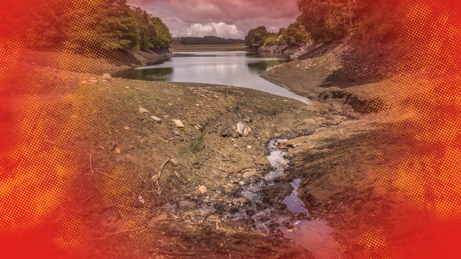 It's hot, it's dry - but how does this year compare to the 1976 drought ...