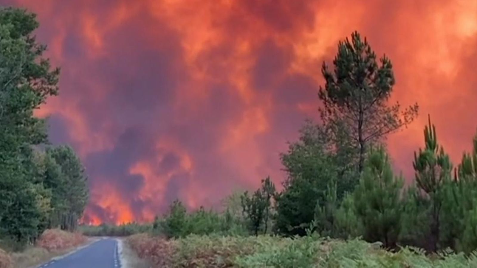 Wildfires in southern France | World News | Sky News