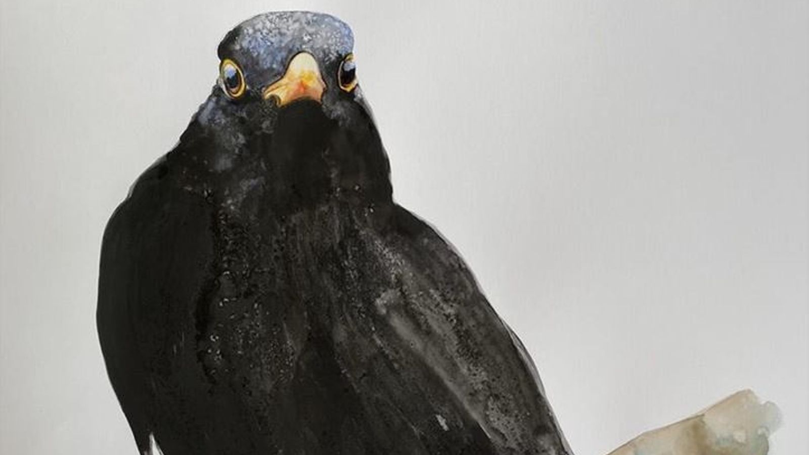 Vic Reeves joins Sky Arts for new series Painting Birds With Jim And ...