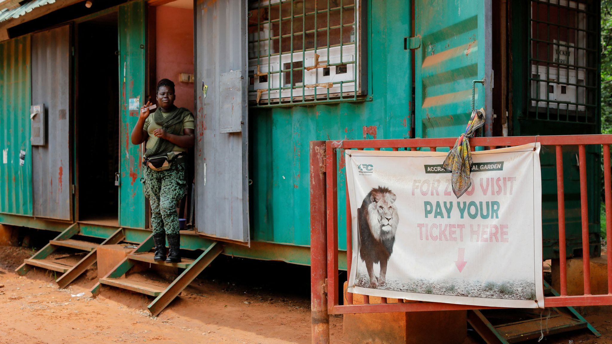 Man mauled to death by lion after climbing over fence and entering ...