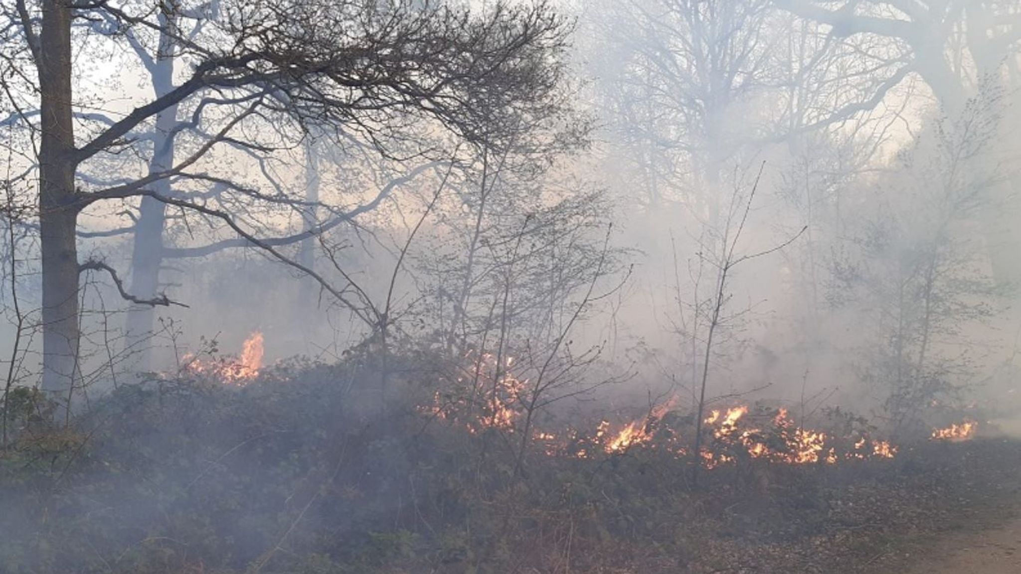 Risk of wildfires across UK's parched landscapes 'remains significant ...