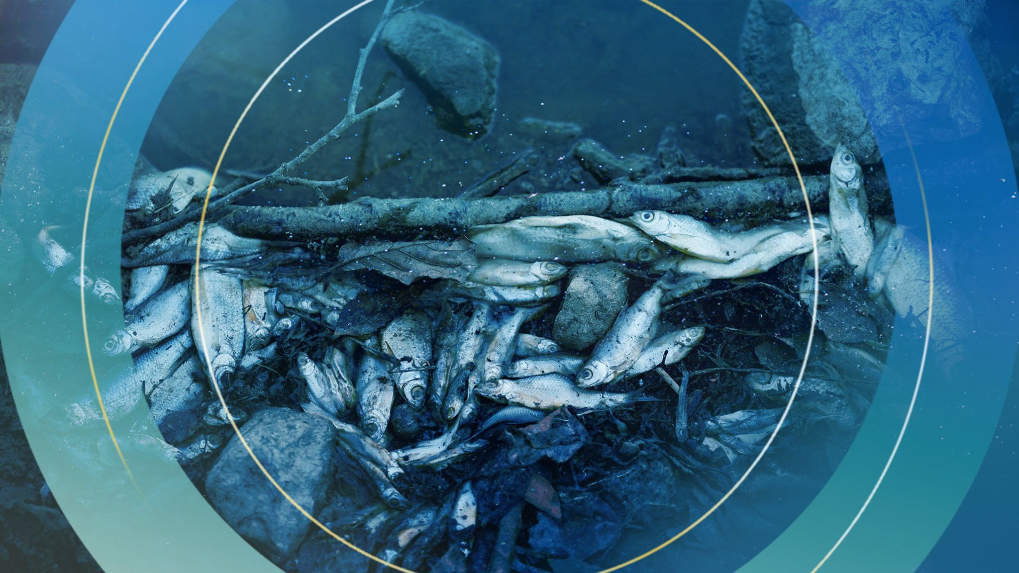 Europe's drought on course to be worst for 500 years, European Union ...