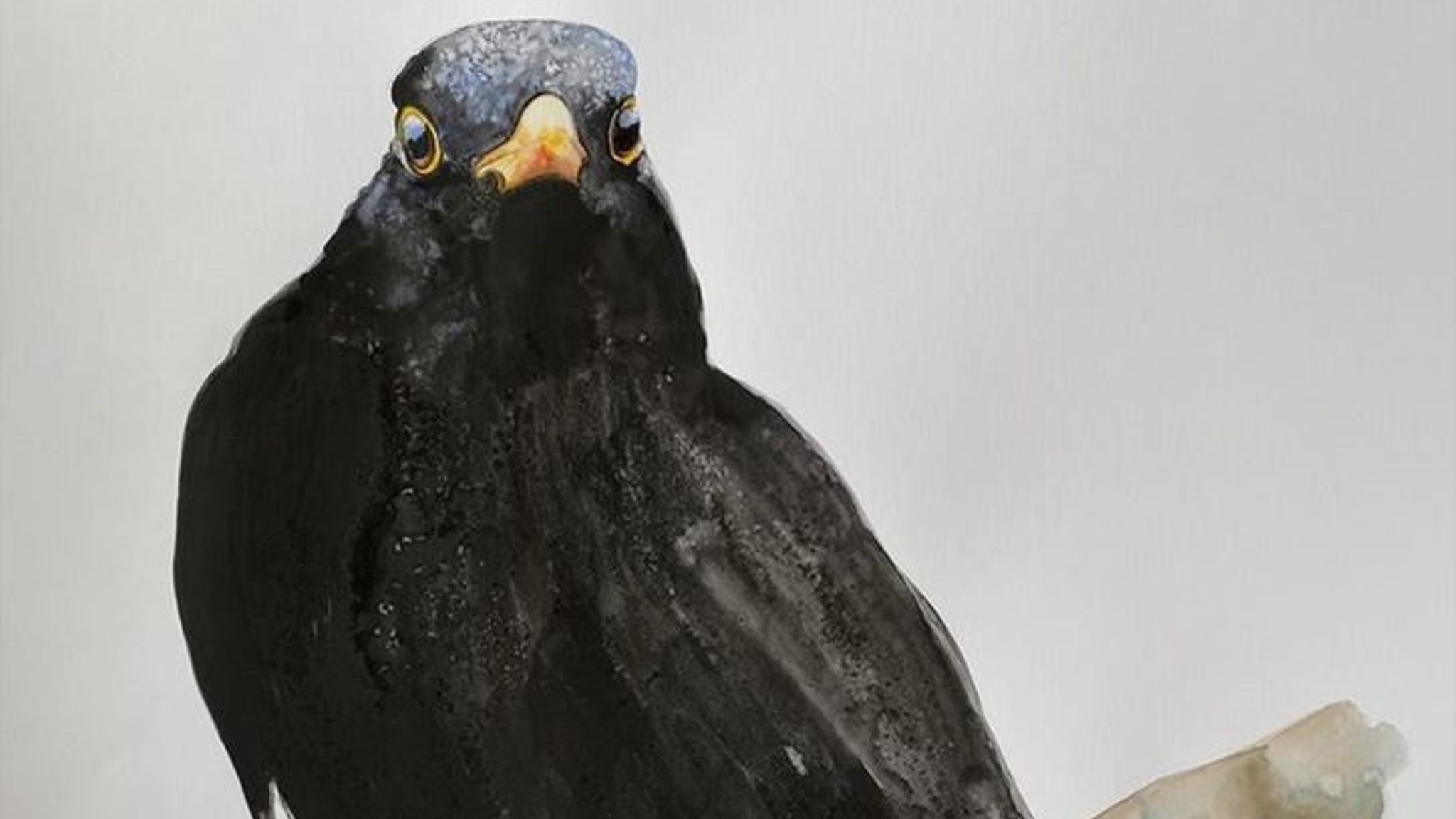 Vic Reeves joins Sky Arts for new series Painting Birds With Jim And ...