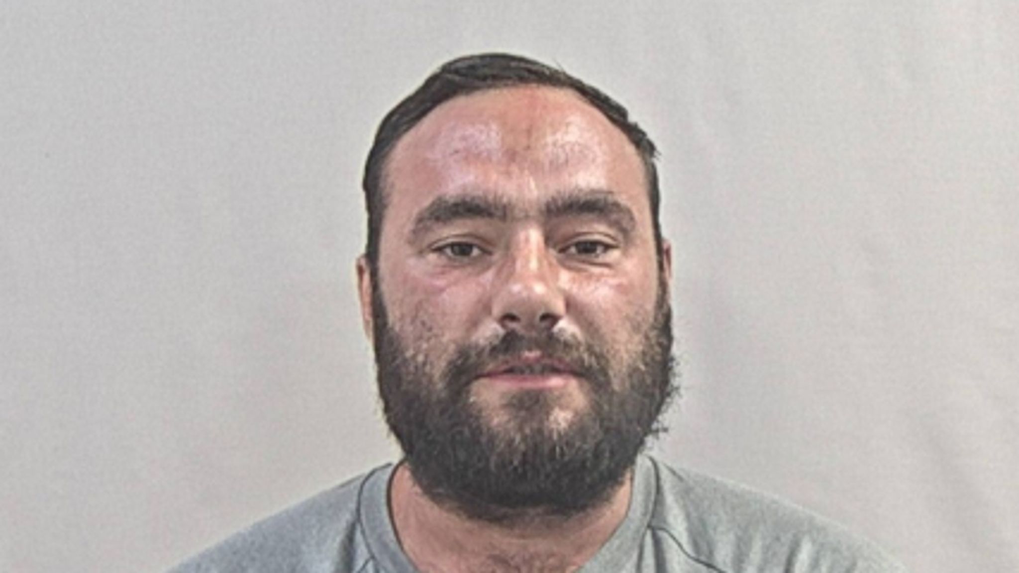 Matthew Boulter: Man jailed for eight months for biting police dog and ...