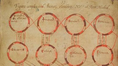 Old manuscripts which reveal bizarre medieval medical cures being ...