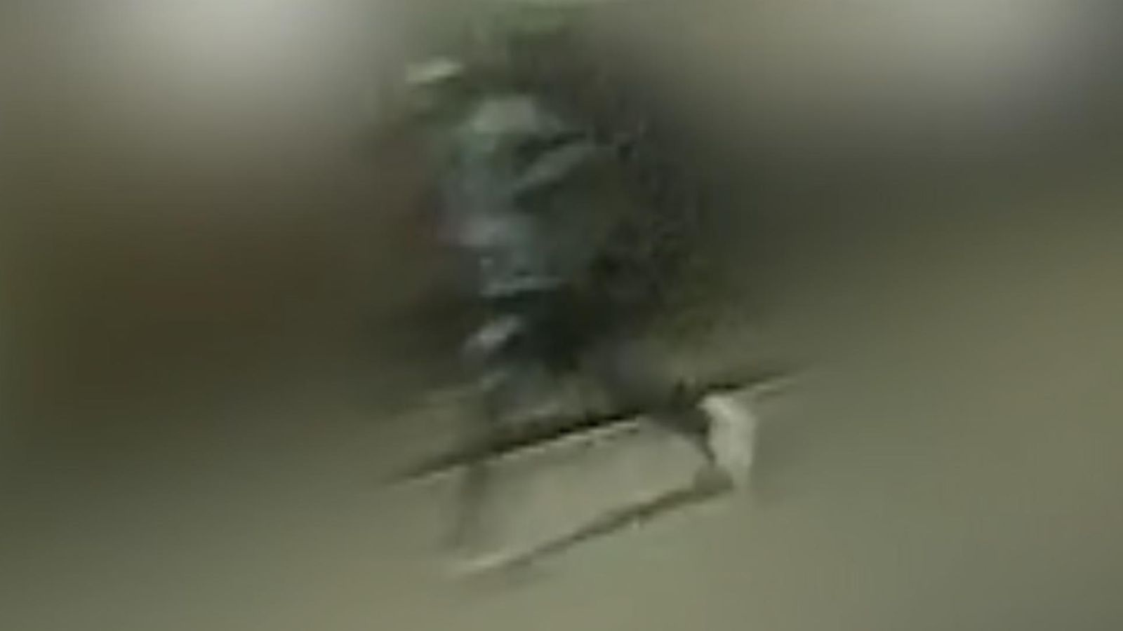 Olivia Pratt-Korbel killing: CCTV of gunman fleeing the scene released ... Olivia Pratt-Korbel killing: CCTV of gunman fleeing the scene released ...