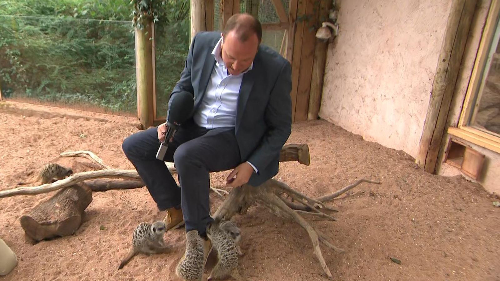 Sky correspondent defies TV rule of 'never work with animals' | News UK ...