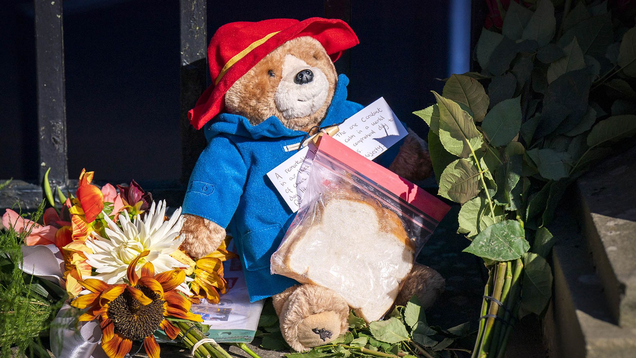 Camilla pictured surrounded by Paddington Bears as tributes to Queen ...