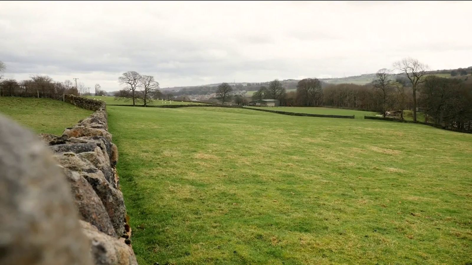 A Government Attack On Nature Sky News