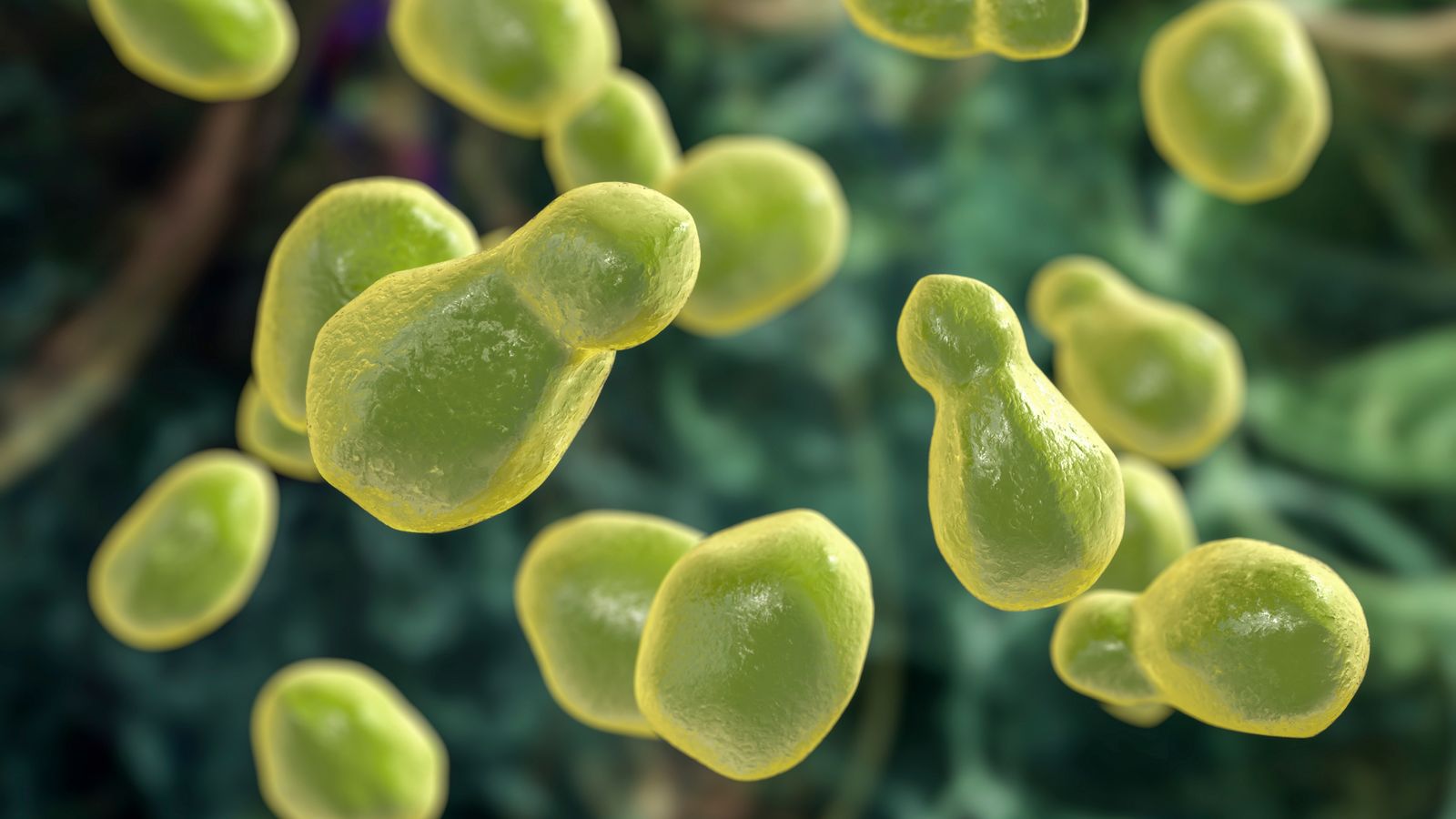 Fungal infections 'increased significantly' during COVID pandemic as ...