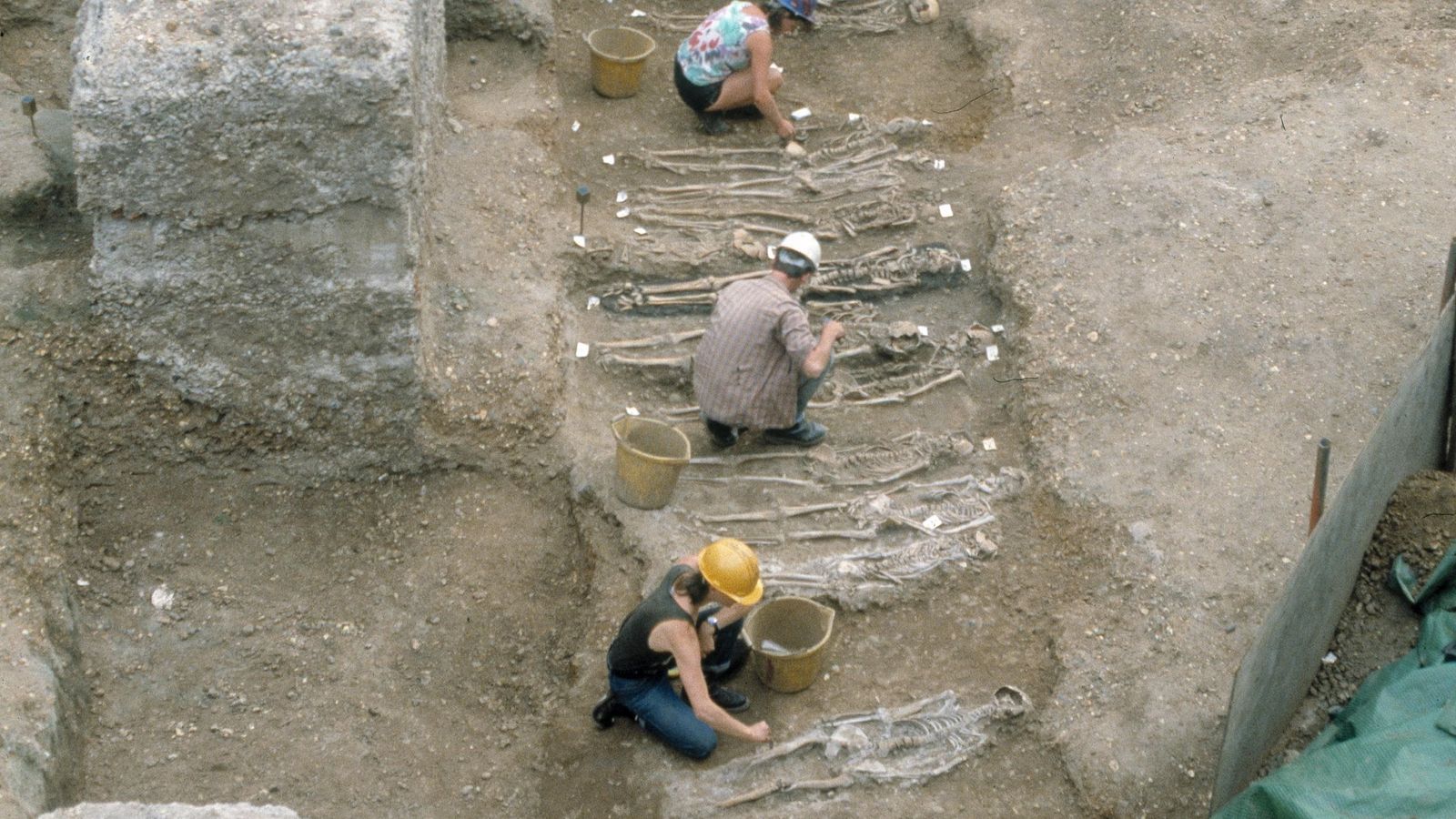 How the Black Death shaped how our bodies tackle today's diseases ...