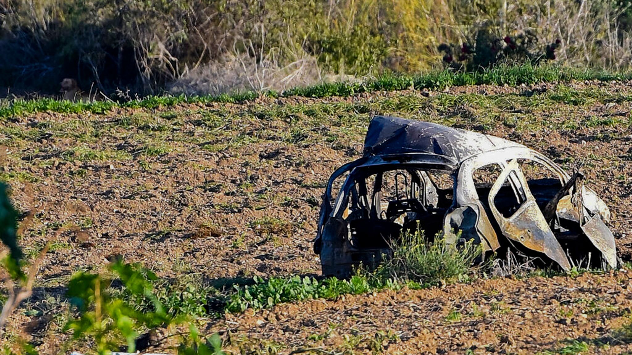 Brothers jailed for 40 years over car-bomb murder of investigative ...