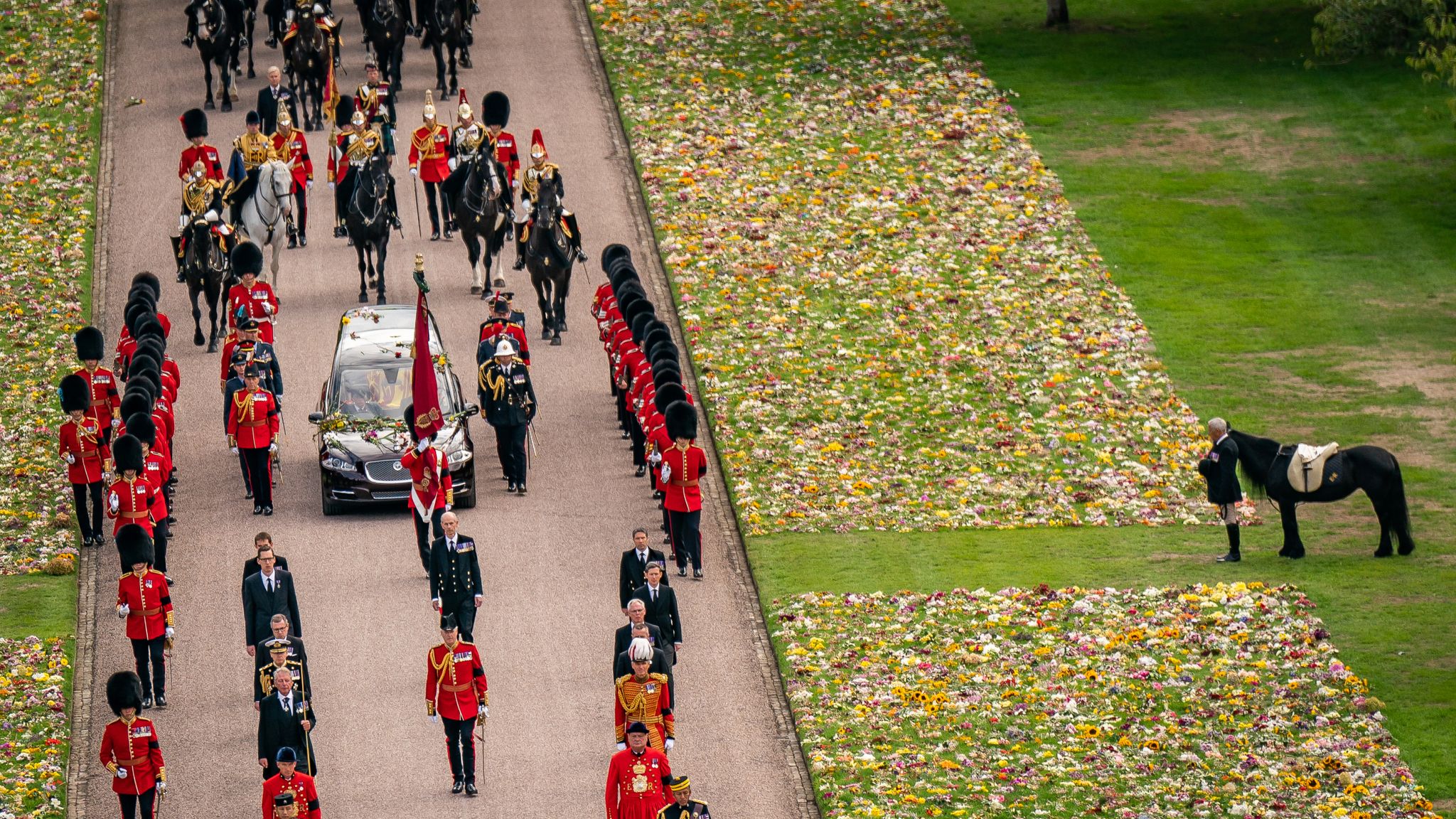 Poignant new picture of Emma, Queen's favourite horse, released by palace | UK News | Sky News