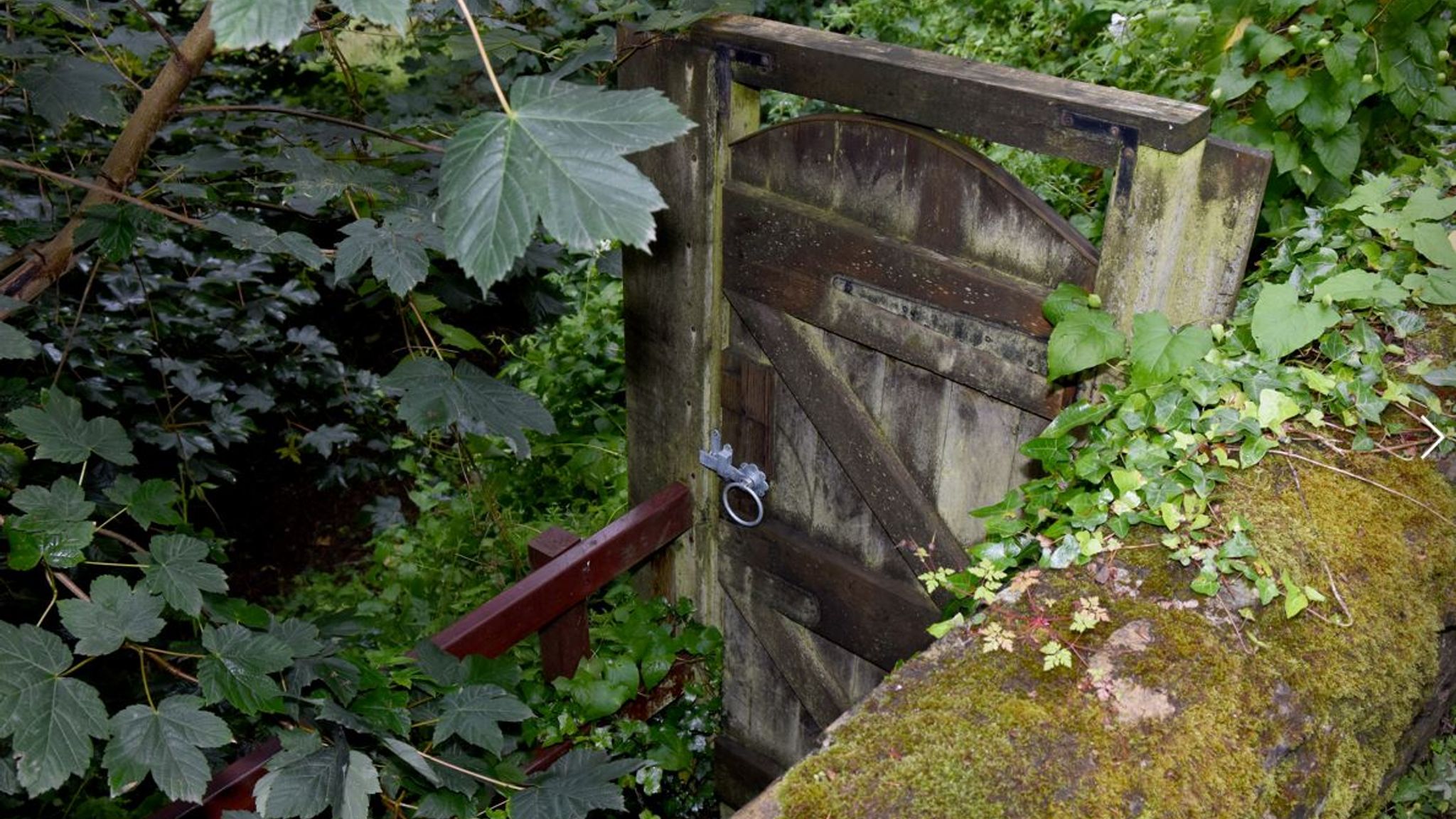 Woman accused of murdering and decapitating her friend over home ...