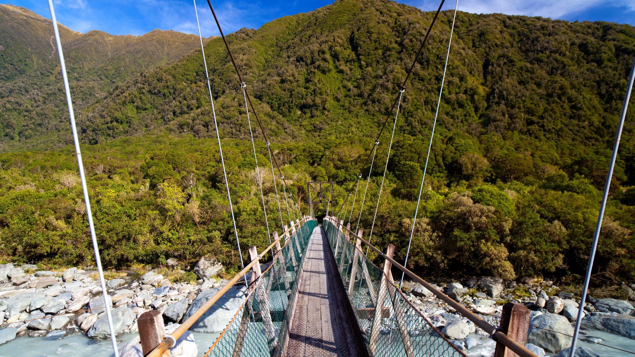 New Zealand struggling to fill 'spectacular' wildlife job at Unesco ...